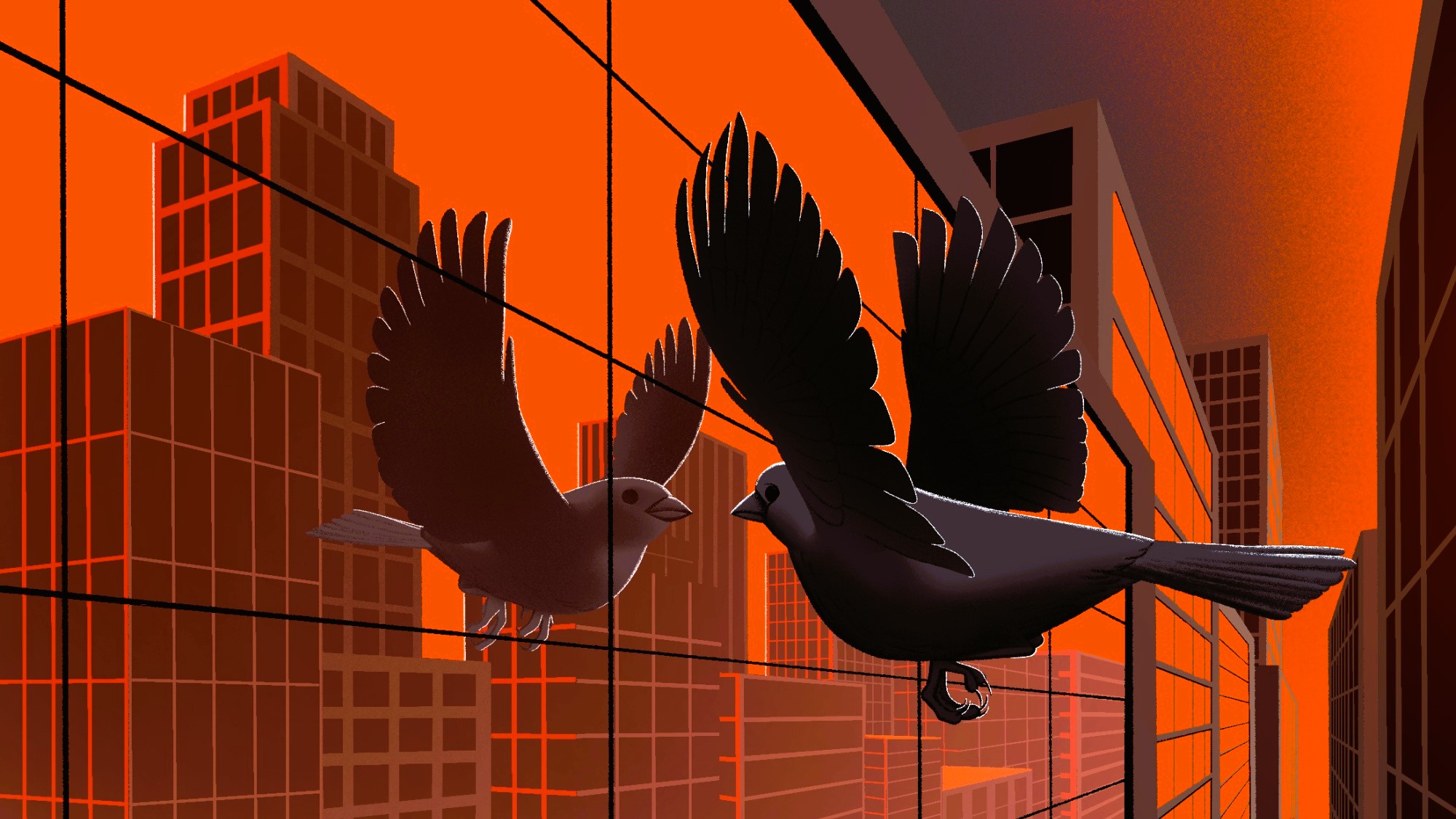 Energy Efficiency and Bird-Friendly Windows: A Perfect Combination ...